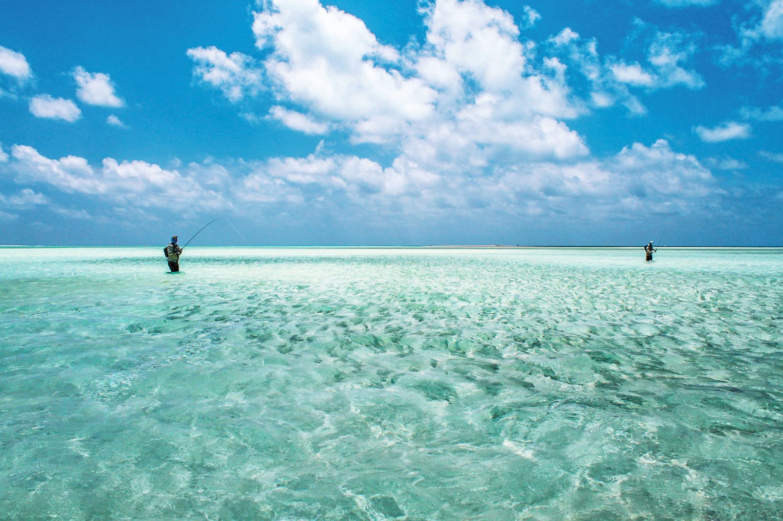 Alphonse Island, Seychelles - Ecolyx.com