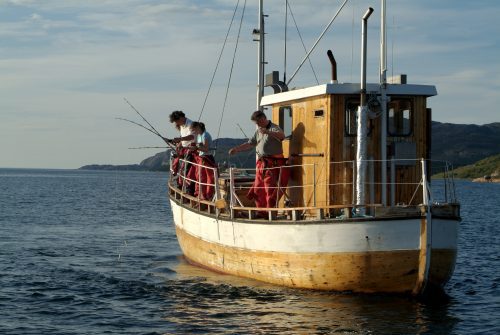Upplev Vesterålen på Kvitnes gård - från gårdsbruk till fine dining ...